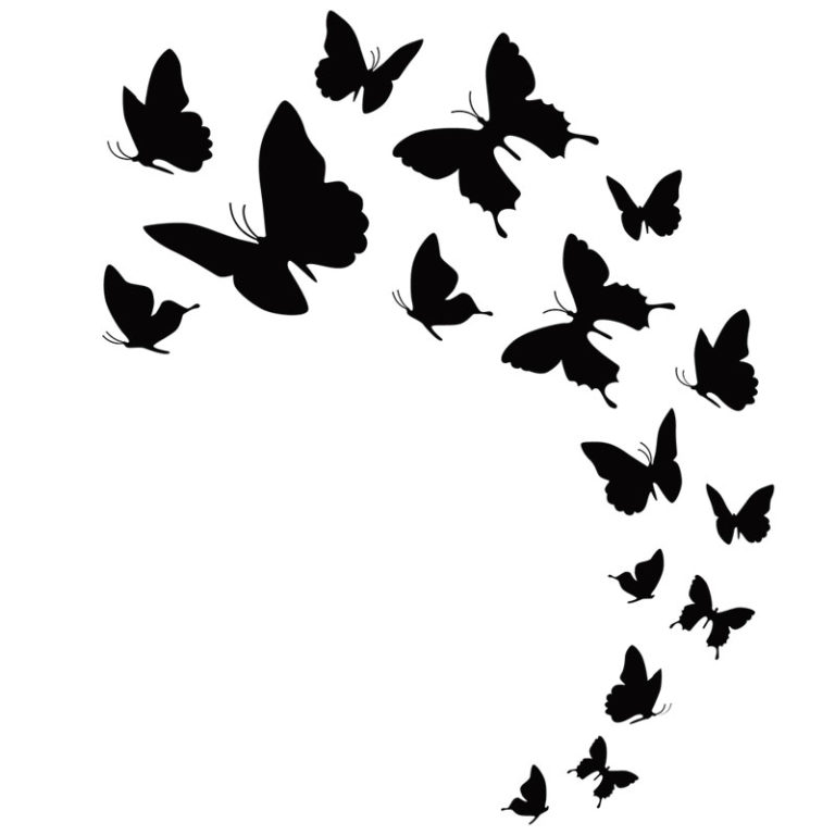 Misskyliedesign Free And Premium Design Resources